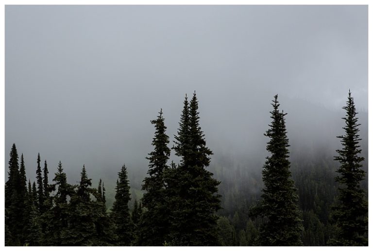 Washington, The Evergreen State. - Natalie Phillips Photography