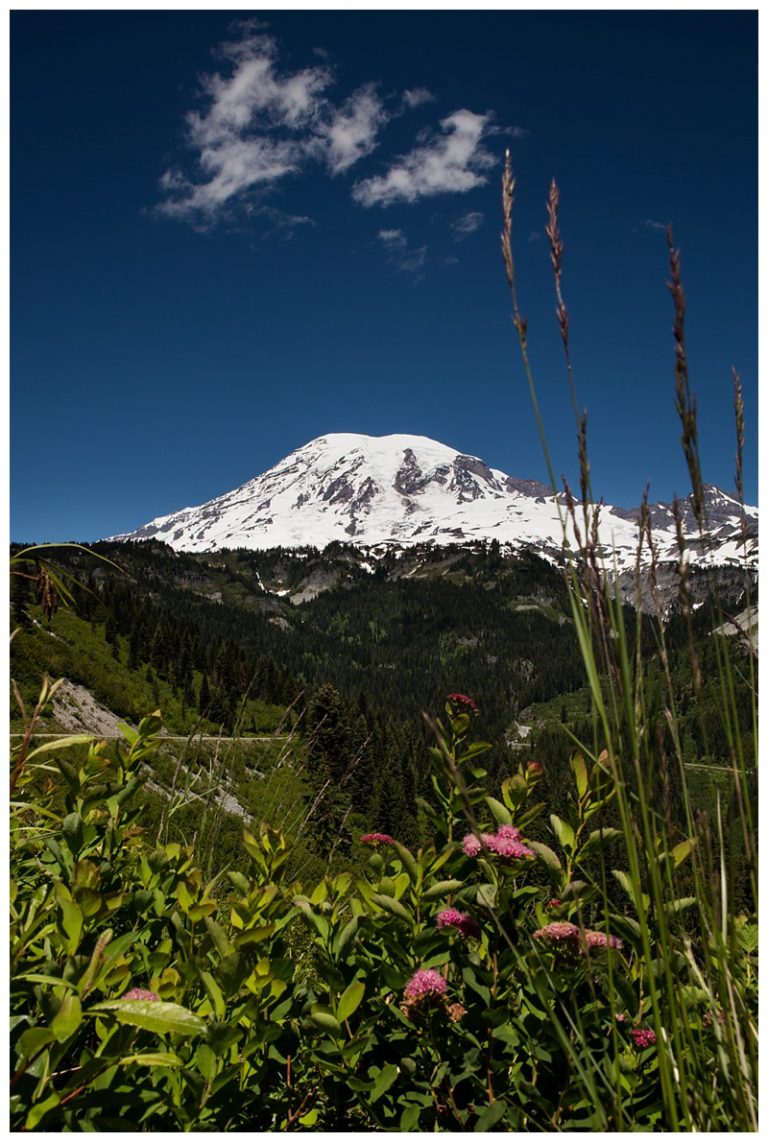 Washington, The Evergreen State. - Natalie Phillips Photography